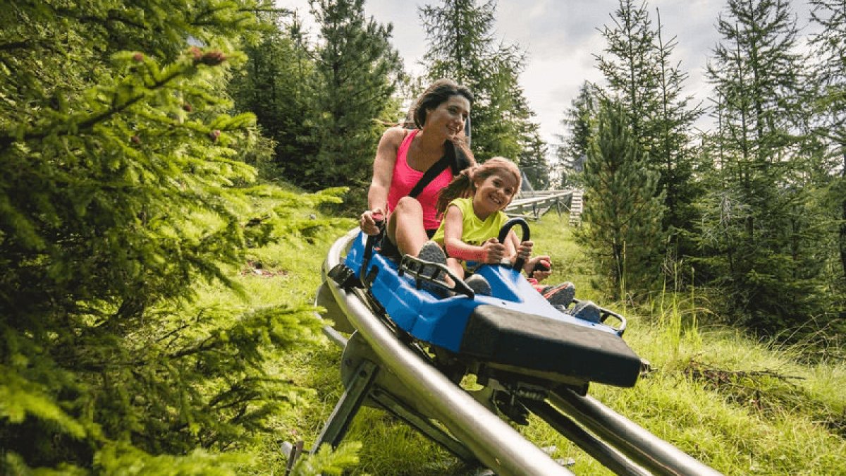 Abre primera montaña rusa en medio del bosque en Ruidoso – Telemundo El ...