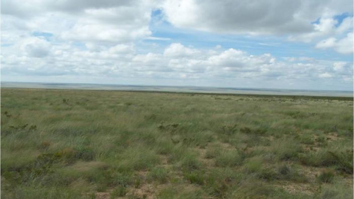 Anuncian fondos de $4.5 millones para mejoras en McGregor Range en El ...