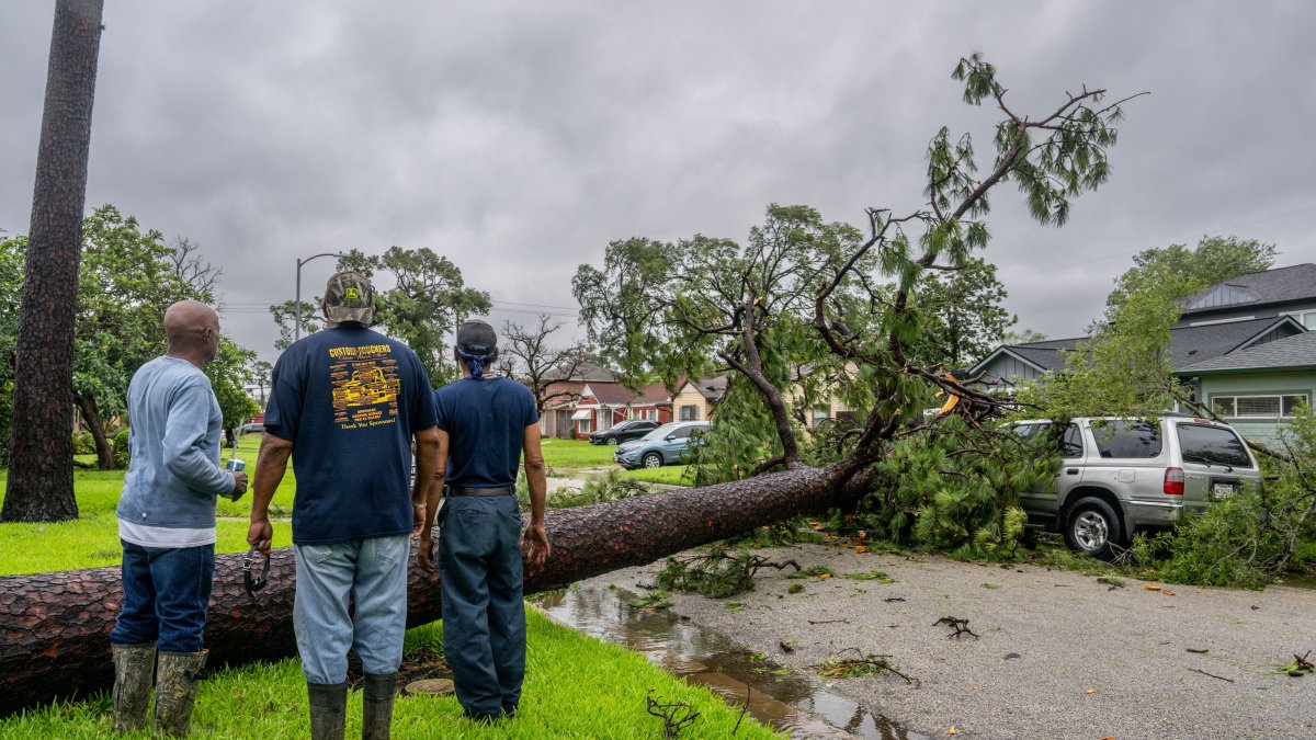 Revelan causas de muerte de los 13 fallecidos por Beryl en Houston ...