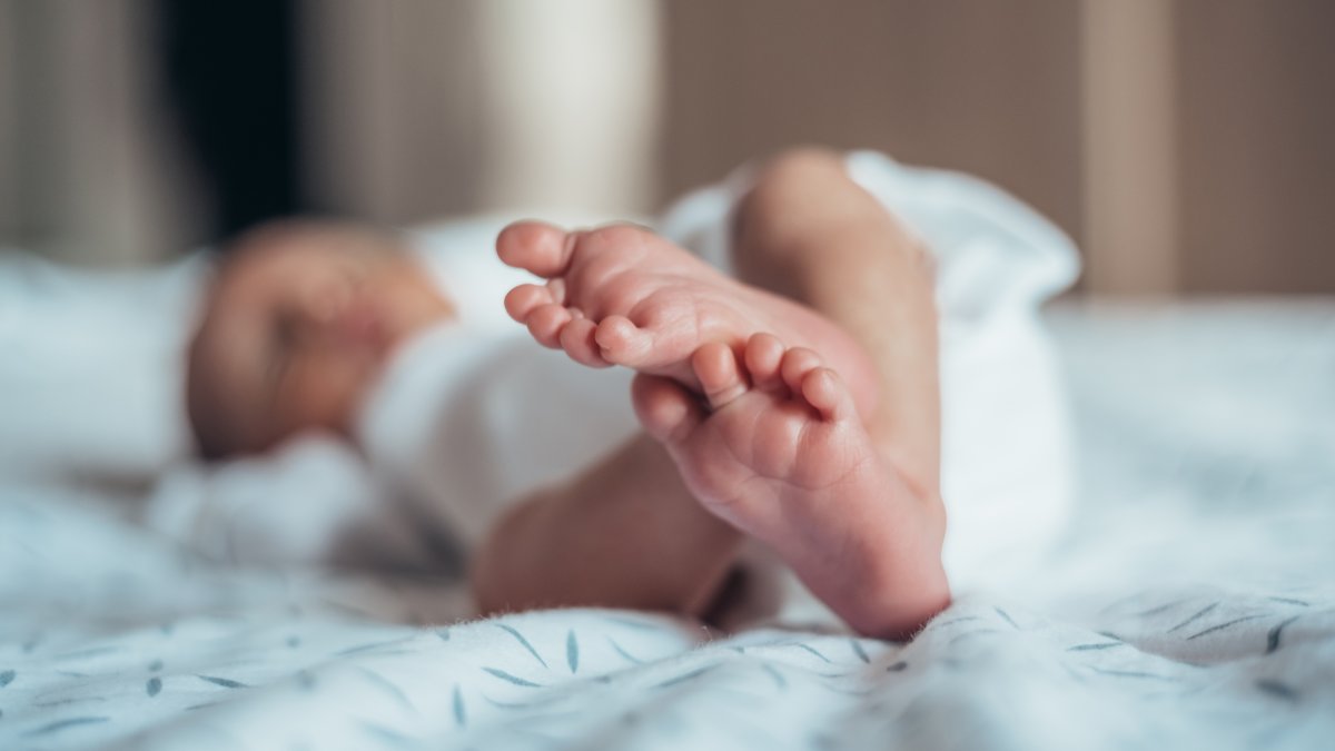 El bebé Chat Yipiti no fue registrado en Colombia, fue desmentido – Telemundo El Paso (48)