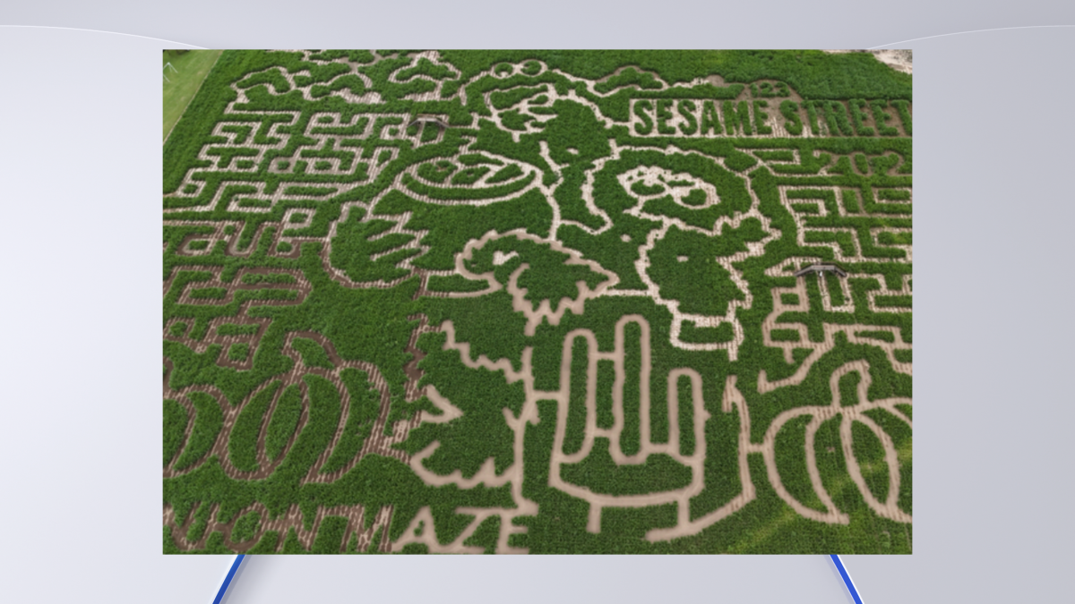 Descubre el nuevo tema en el laberinto de ‘La Union Maze’ este año ...