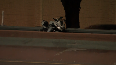 Motociclista gravemente herido tras choque en la I-10 – Telemundo El ...