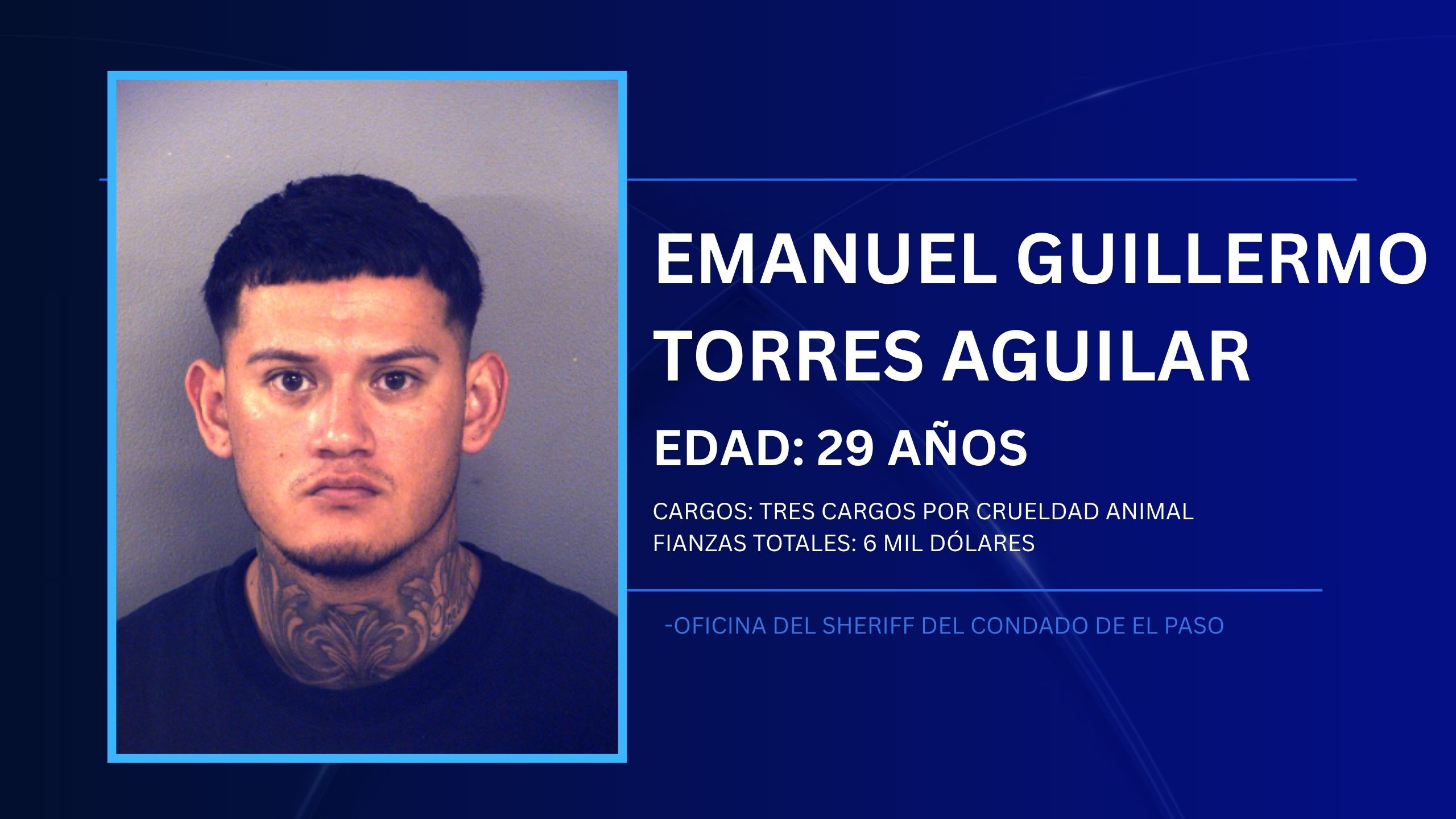 Rescatan perros maltratados en El Paso y hombre enfrenta cargos ...